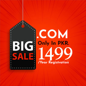 PK Domain Registration, Register .PK Domain Name - PKDOMAIN.com.pk